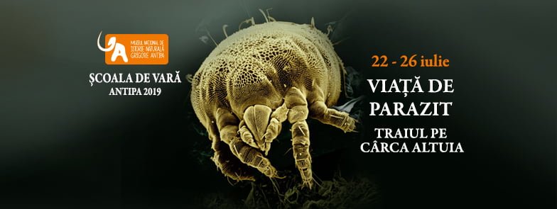 Viață de parazit Traiul pe cârca altuia | Muzeul Național de Istorie ...