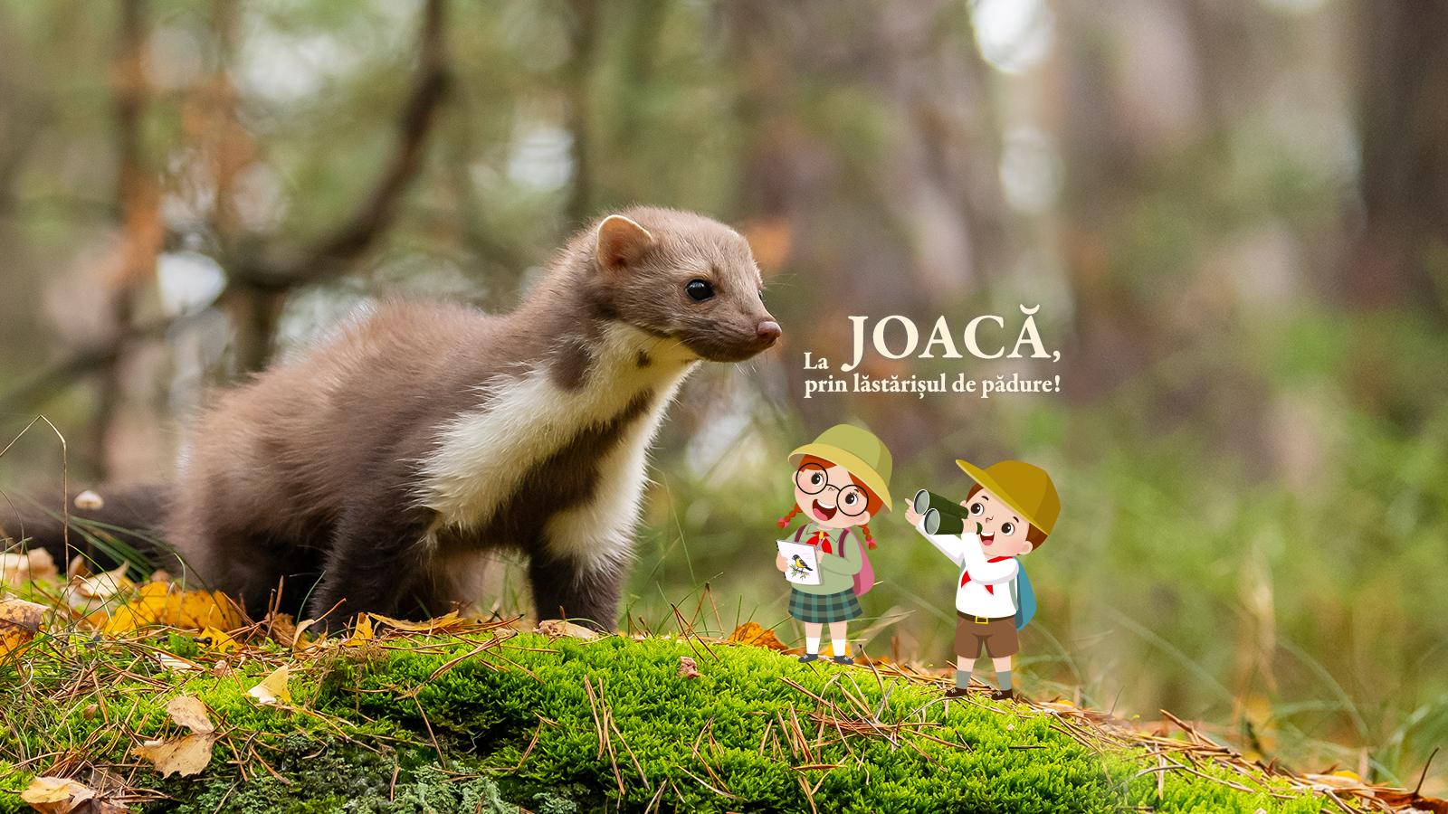 La joacă, prin lăstărișul de pădure! | Muzeul Național de Istorie ...