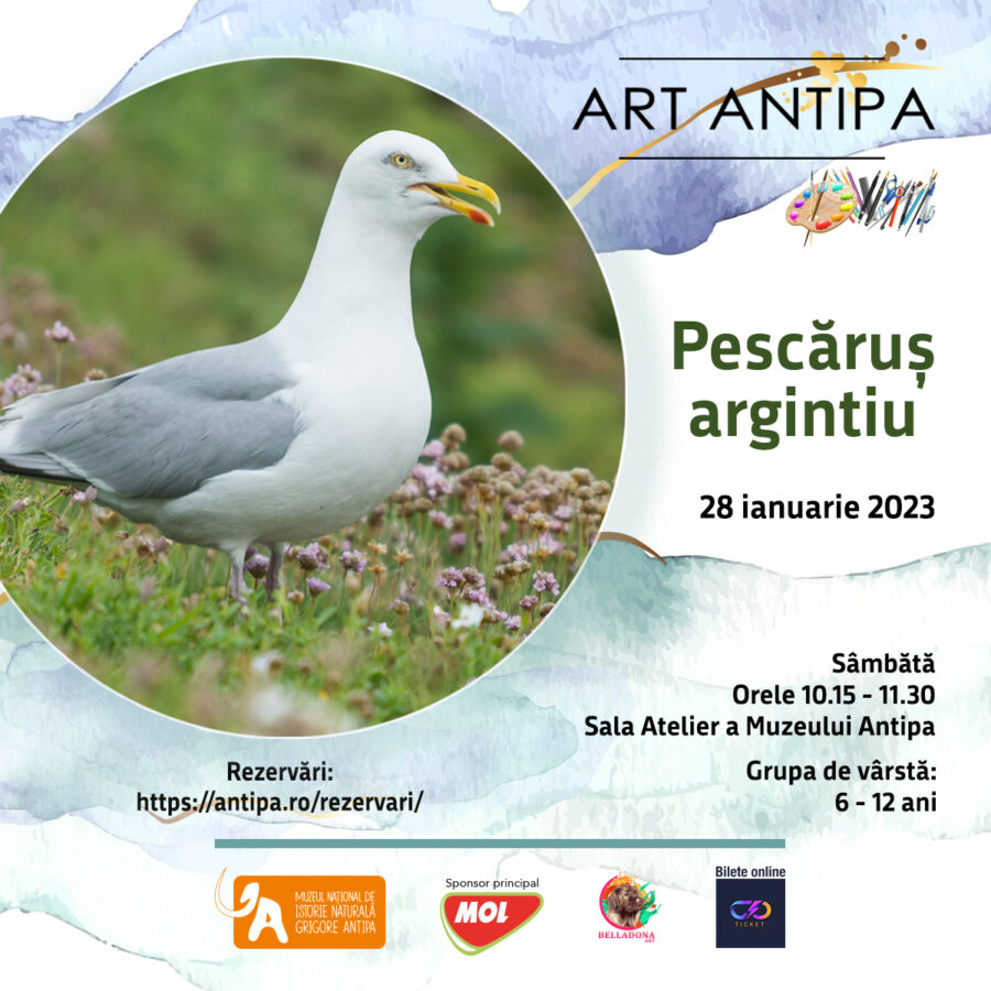 Ateliere de desen și pictură Art Antipa | Muzeul Național de Istorie ...