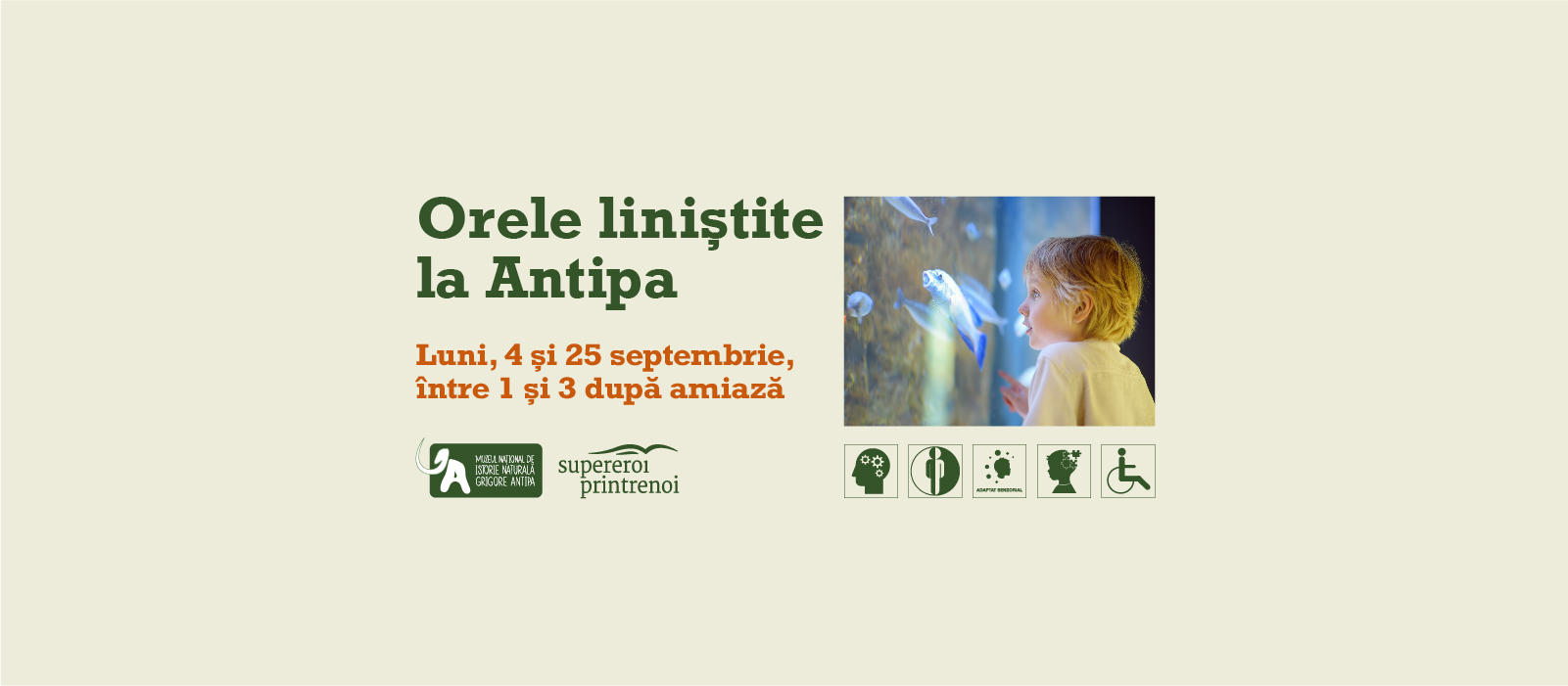 Orele liniștite la Muzeul Antipa | Muzeul Național de Istorie Naturală ...