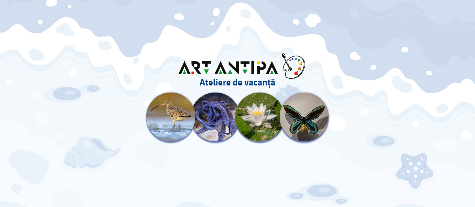 Ateliere de vacanță Art Antipa | Muzeul Național de Istorie Naturală ...
