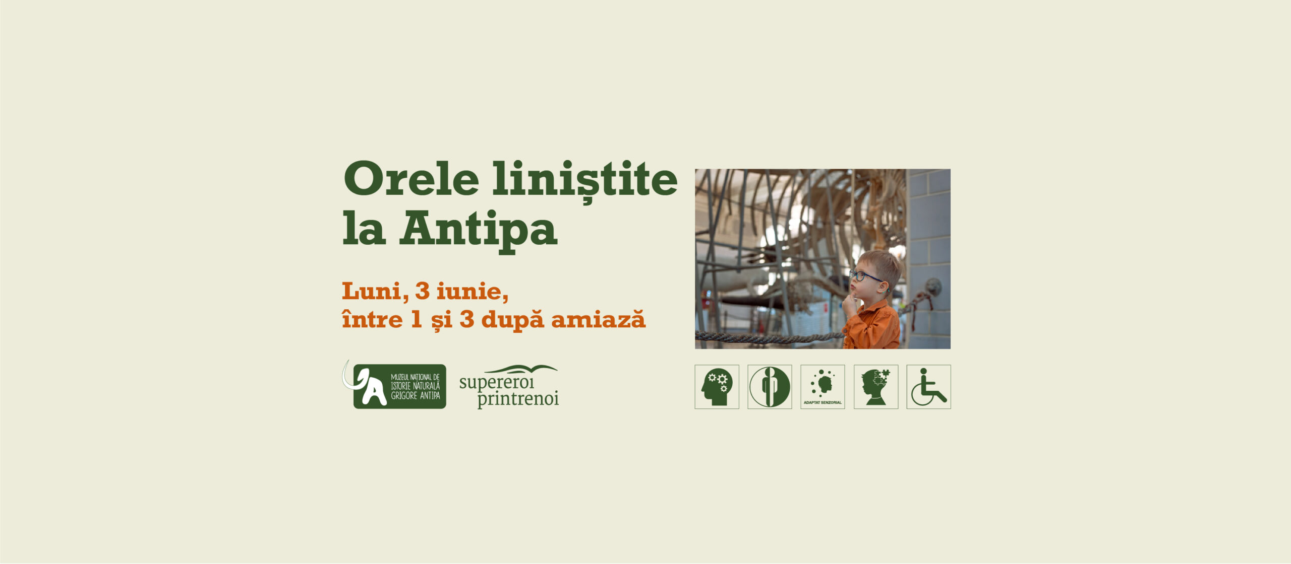 Orele liniștite la Muzeul Antipa | Muzeul Național de Istorie Naturală ...