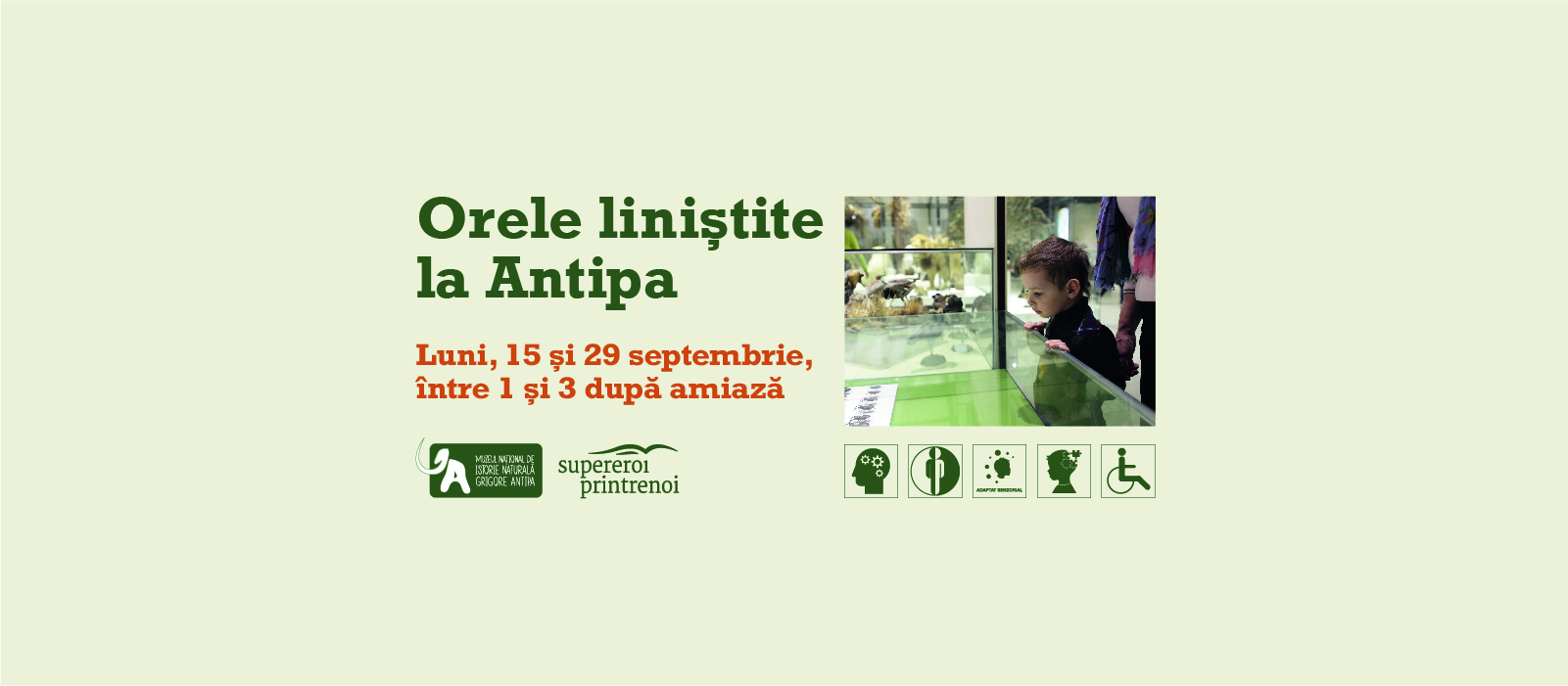 Orele liniștite la Muzeul Antipa | Muzeul Național de Istorie Naturală ...