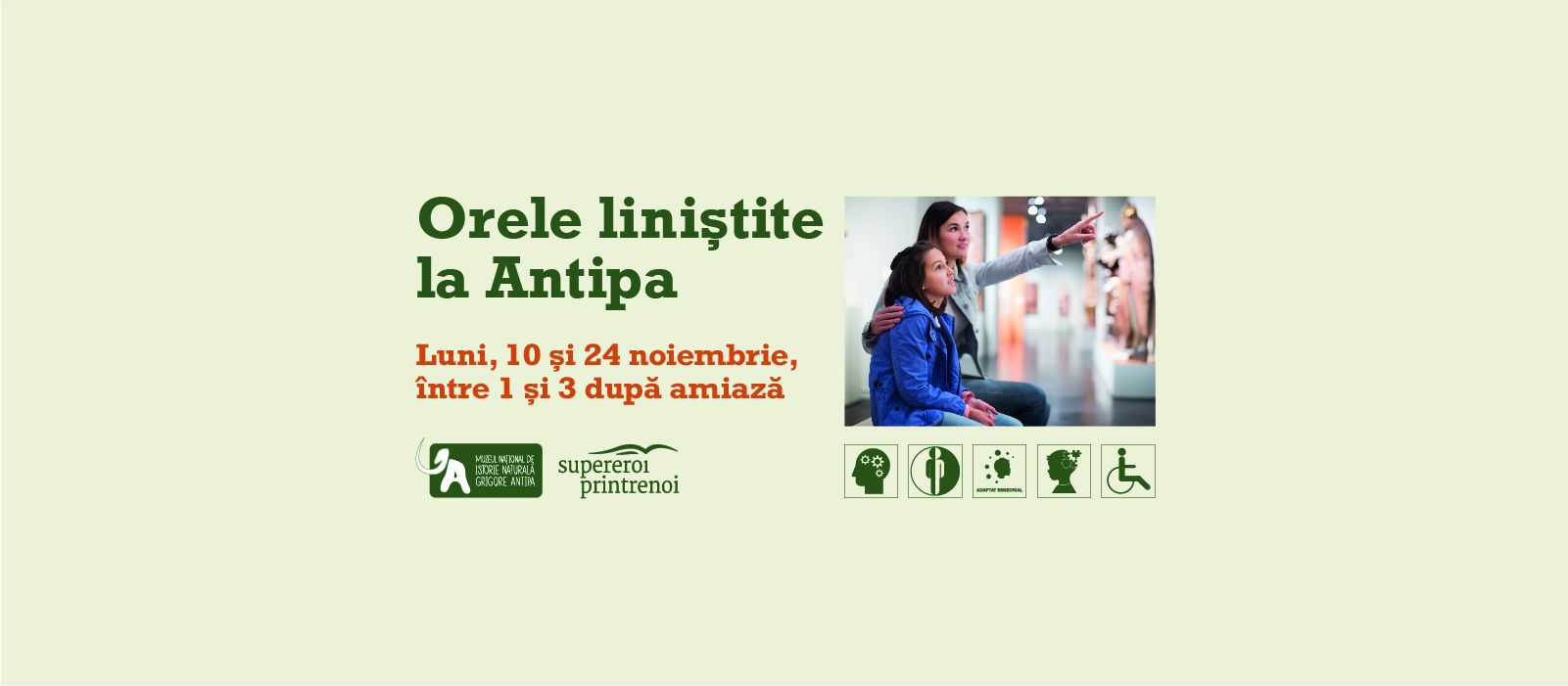 Orele liniștite la Muzeul Antipa | Muzeul Național de Istorie Naturală ...