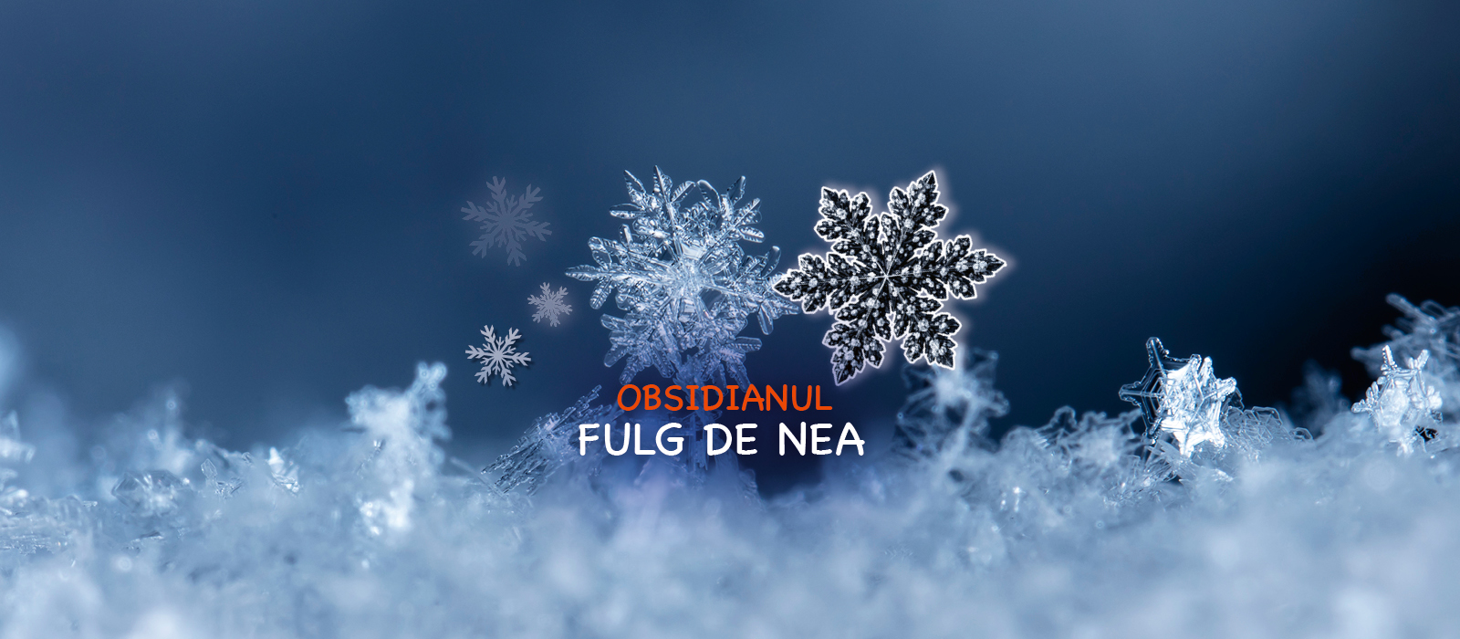 Obsidianul fulg de nea – atelier de science&craft | Muzeul Național de ...